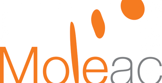 Key advocacy priorities | World Stroke Organization