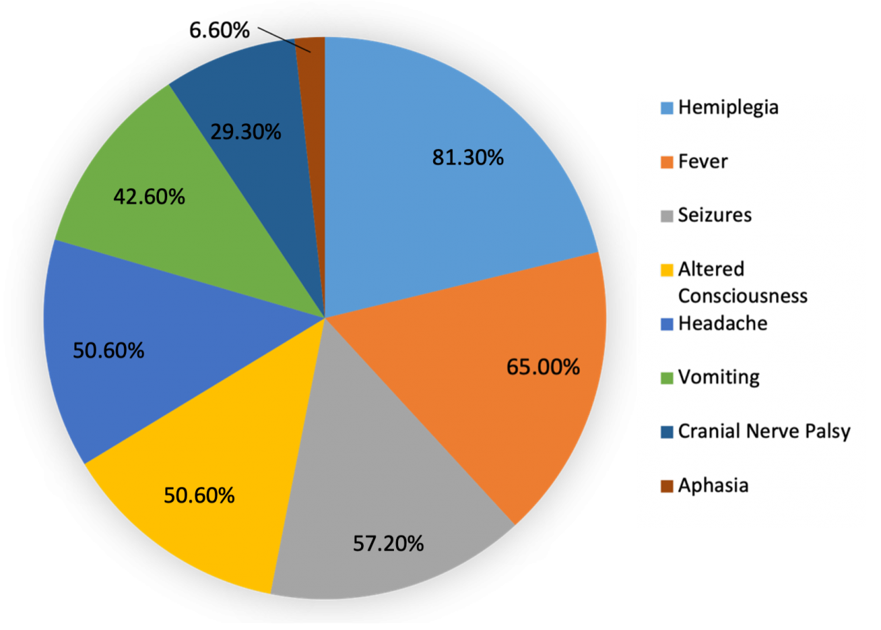 Profile of Paediatric Stroke in Jaipur, India | World Stroke Organization